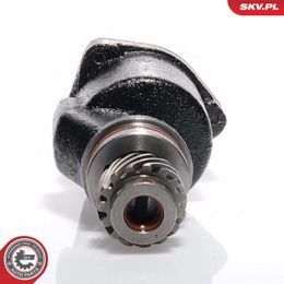 ESEN SKV Unterdruckpumpe, Bremsanlage 18skv001 f&uuml;r VW Ford VAG
