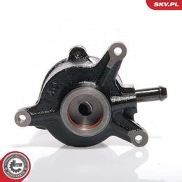 ESEN SKV Unterdruckpumpe, Bremsanlage 18skv010 f&uuml;r Ford