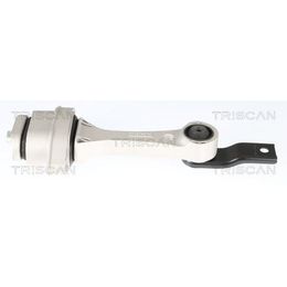 TRISCAN Lagerung, Motor 850529172 f&uuml;r VW