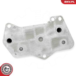 ESEN SKV &Ouml;lk&uuml;hler, Automatikgetriebe 31skv317 f&uuml;r VW