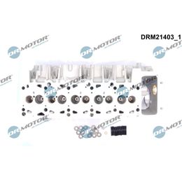 DR.MOTOR AUTOMOTIVE Zylinderkopf drm21403 f&uuml;r VW