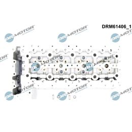 DR.MOTOR AUTOMOTIVE Zylinderkopf drm61406 f&uuml;r Iveco Peugeot DODGE MITSUBISHI