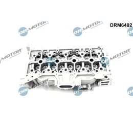DR.MOTOR AUTOMOTIVE Zylinderkopf drm6402 f&uuml;r Ford