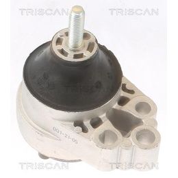 TRISCAN Lagerung, Motor 850516120 f&uuml;r Ford