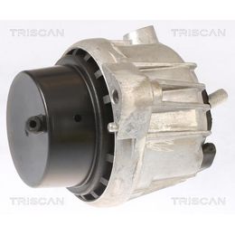 TRISCAN Lagerung, Motor 850511110 f&uuml;r BMW