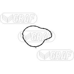 Graf Wasserpumpe pa1396 f&uuml;r Ford Opel Fiat DS Peugeot TOYOTA