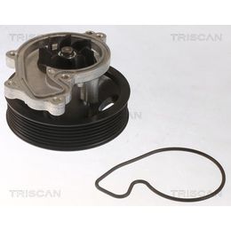 TRISCAN Wasserpumpe 860040020 f&uuml;r HONDA