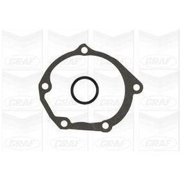 Graf Wasserpumpe pa1003 f&uuml;r MITSUBISHI