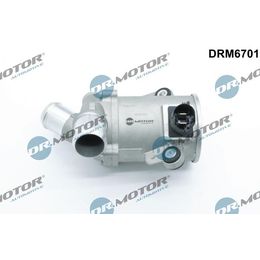 DR.MOTOR AUTOMOTIVE Wasserpumpe drm6701 f&uuml;r Ford