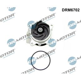 DR.MOTOR AUTOMOTIVE Wasserpumpe drm6702 f&uuml;r Ford