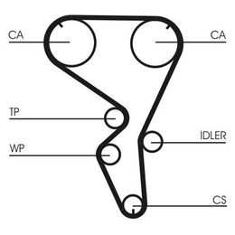 CONTINENTAL CTAM Wasserpumpe + Zahnriemensatz ct1101wp1 f&uuml;r Peugeot
