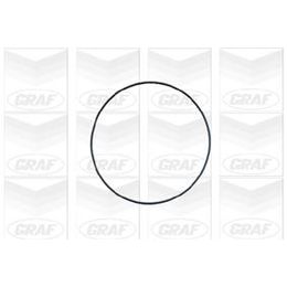 Graf Wasserpumpe pa671 f&uuml;r Ford Vaughall JEEP ALFA ROMEO Opel Chrysler ROVER