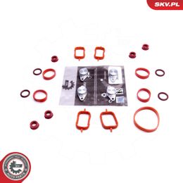 ESEN SKV Reparatursatz, Saugrohrmodul 49SKV564