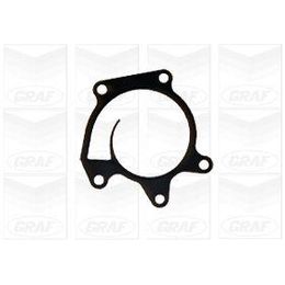 Graf Wasserpumpe pa1172 f&uuml;r NISSAN RENAULT