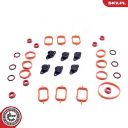 ESEN SKV Reparatursatz, Saugrohrmodul 49SKV569