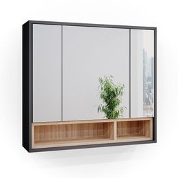 VICCO Badspiegelschrank, Anthrazit, Holzwerkstoff, 6 F&auml;cher, Rechteckig, 80x72x20 cm, Badezimmer, Badezimmerspiegel, Spiegelschr&auml;nke