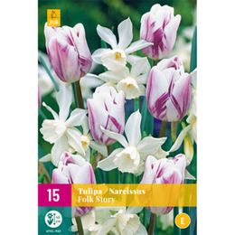 Tulpen & Narzissen Mischung 'Folk Story' - 15 St&uuml;ck Liefergr&ouml;&szlig;e: Zwiebelgr&ouml;&szlig;e 11/12 und 12/14