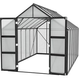 Gew&auml;chshaus Vitavia "Domus 11500", schwarz, B:257cm H:253,9cm T:449cm, Gew&auml;chsh&auml;user, mit Doppelschwingt&uuml;ren und bodentiefer T&uuml;rschwelle, 6 mm Hohlkammer