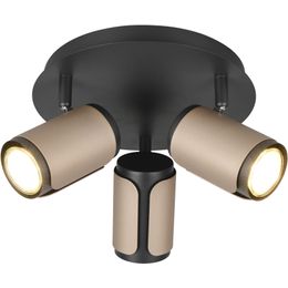 Trio LEUCHTEN Deckenstrahler "GILLAN, Spot 3-flammig, exkl 3x GU10 max 10W, &Oslash; 30 cm H&ouml;he 16 cm", braun, 3, &Oslash; 30cm H: 16cm, 1 Stk., Leuchten, GU10 Deckenspot 3er Rondell f&uuml;r K&uuml;che Flur, Spots schwenkbar, IP20, Deckenstrahler