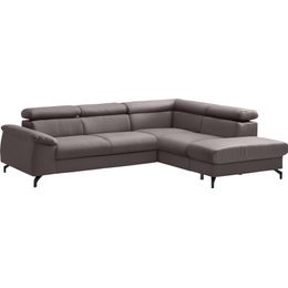 Ecksofa COTTA "Kitty L-Form, B: 249 cm", grau (elephant), B:249cm H:72cm T:207cm, Microfaser (100% Polyester);Flachgewebe (100% Polyester), Sofas, Ecksofa, mit Kopfteilverstellung, optional Bettfunktion & Bettkasten
