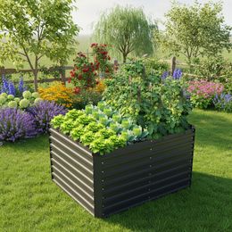 Hochbeet Konifera "Emmy", bodenloses Gartenbeet aus verzinktem Stahl", grau (anthrazit), B:100cm H:60cm T:80cm, Stahl, Pflanzgef&auml;&szlig;e, mit Verstrebungen f&uuml;r mehr Stabilit&auml;t, in zwei Farben