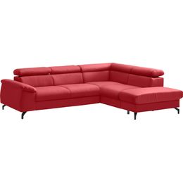 Ecksofa COTTA "Kitty L-Form, B: 249 cm", rot, B:249cm H:72cm T:207cm, Microfaser (100% Polyester);Flachgewebe (100% Polyester), Sofas, Ecksofa, mit Kopfteilverstellung, optional Bettfunktion & Bettkasten