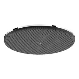 Hansgrohe Kopfbrause Raindance Alive S 300mm, EcoSm., Mind.-Druck 1 bar, chrom (24521000)