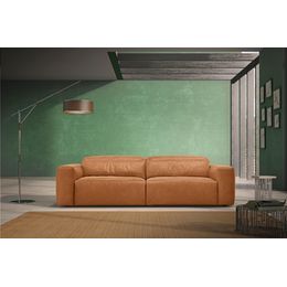 2,5-Sitzer Egoitaliano "Beverly, Designsofa mit erstklassigem Sitzkomfort und tollen Details", braun (cognac), B:242cm H:95cm T:109cm, Luxus-Micofaser Lederoptik (100% Polyester) ist ein neues technisches Gewebe mit einem visuellen und taktilen Aspekt, der dem Nubuk sehr nahe kommt, mit innovativen Eigenschaften. Seine au&szlig;erordentliche Weichheit kommt von einem exklusiven Produktionsprozess, der U