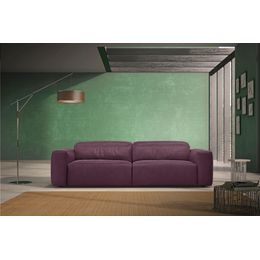2,5-Sitzer Egoitaliano "Beverly, Designsofa mit erstklassigem Sitzkomfort und tollen Details", lila (plum), B:242cm H:95cm T:109cm, Sofas, Breite 242 cm, verstellbare Kopfteile
