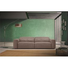 2,5-Sitzer Egoitaliano "Beverly, Designsofa mit erstklassigem Sitzkomfort und tollen Details", braun (mud), B:242cm H:95cm T:109cm, Luxus-Micofaser Lederoptik (100% Polyester) ist ein neues technisches Gewebe mit einem visuellen und taktilen Aspekt, der dem Nubuk sehr nahe kommt, mit innovativen Eigenschaften. Seine au&szlig;erordentliche Weichheit kommt von einem exklusiven Produktionsprozess, der Unre