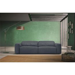2,5-Sitzer Egoitaliano "Beverly, Designsofa mit erstklassigem Sitzkomfort und tollen Details", grau (dunkelgrau), B:242cm H:95cm T:109cm, Sofas, Breite 242 cm, verstellbare Kopfteile