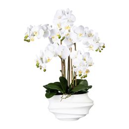 Kunstblume, Wei&szlig;, Kunststoff, 75 cm, inkl. Topf, Real-Touch-Oberfl&auml;che, Dekoration, Kunstblumen