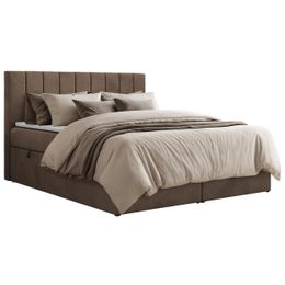 BOXSPRINGBETT ALVER 160/200 - Braun Velvet - H4
