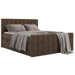 BOXSPRINGBETT ALVER DUO 160/200 - Braun Velvet - H3