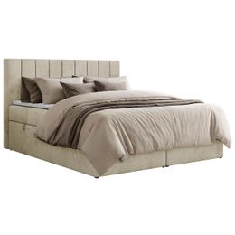 BOXSPRINGBETT ALVER 160/200 - Beige Velvet - H3