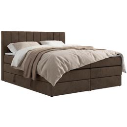 BOXSPRINGBETT ALVER KING 140/200 - Braun Velvet - H4
