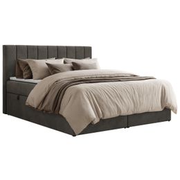 BOXSPRINGBETT ALVER 160/200 - Dunkelgrau Velvet - H3