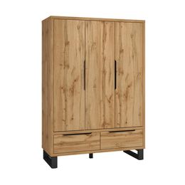 SCHRANK 3 T&uuml;ren Eden Holz