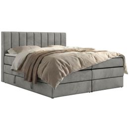 BOXSPRINGBETT ALVER KING 200/200 - Hellgrau Velvet - H3