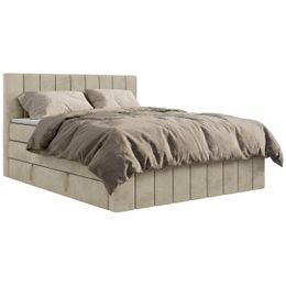 BOXSPRINGBETT ALVER KING DUO 160/200 - Beige Velvet - H3