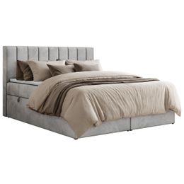 BOXSPRINGBETT ALVER 140/200 - Hellgrau Velvet - H3