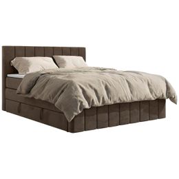BOXSPRINGBETT ALVER KING DUO 160/200 - Braun Velvet - H4