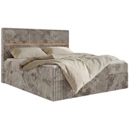 BOXSPRINGBETT ORVO 160/200 - Hellbraun Cord - Topper T25 - H4