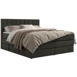 BOXSPRINGBETT ALVER KING 160/200 - Dunkelgrau Velvet - H3