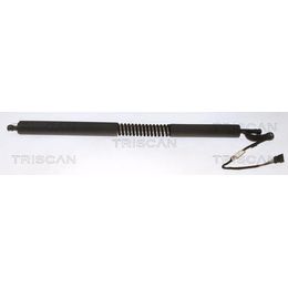 TRISCAN Gasfeder, Koffer-/Laderaum 871011364 f&uuml;r BMW