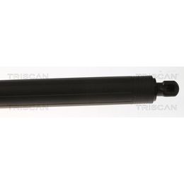 TRISCAN Gasfeder, Koffer-/Laderaum 871081203 f&uuml;r Tesla