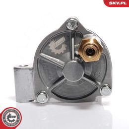 ESEN SKV Unterdruckpumpe, Bremsanlage 18skv002 f&uuml;r Ford