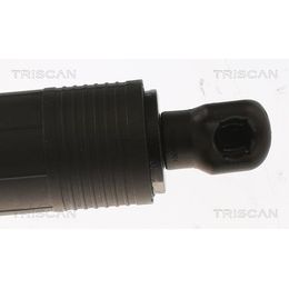 TRISCAN Gasfeder, Koffer-/Laderaum 871081205 f&uuml;r Tesla