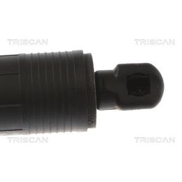 TRISCAN Gasfeder, Koffer-/Laderaum 871081201 f&uuml;r Tesla