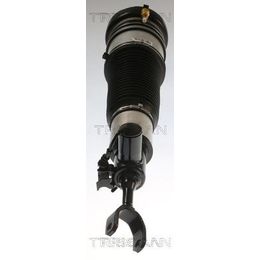 TRISCAN Luftfederbein 872029104 f&uuml;r Audi